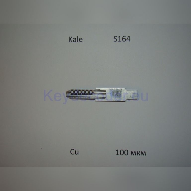 Self-impression Kale S164 - Keydecoder